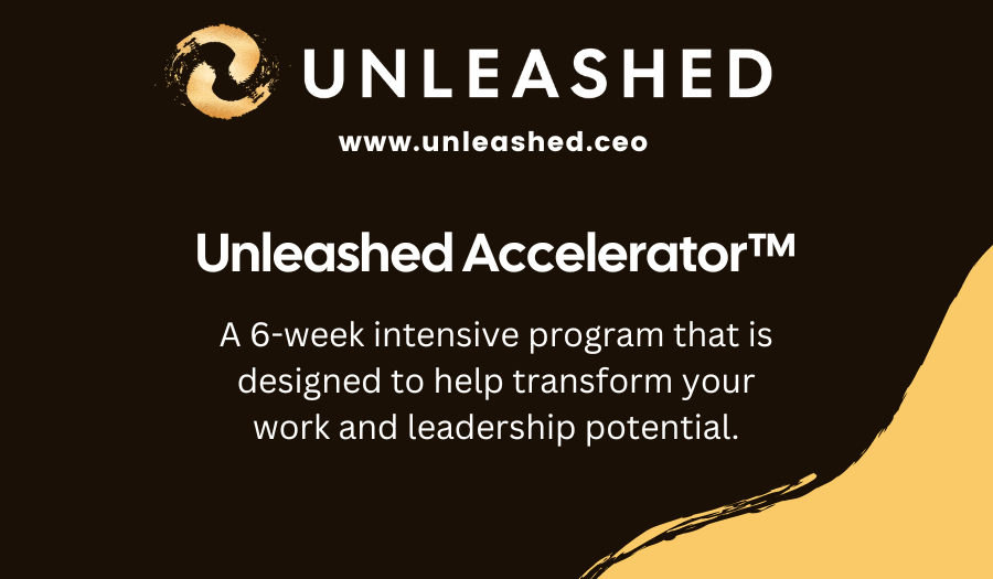 Accelerator | Unleashed CEO